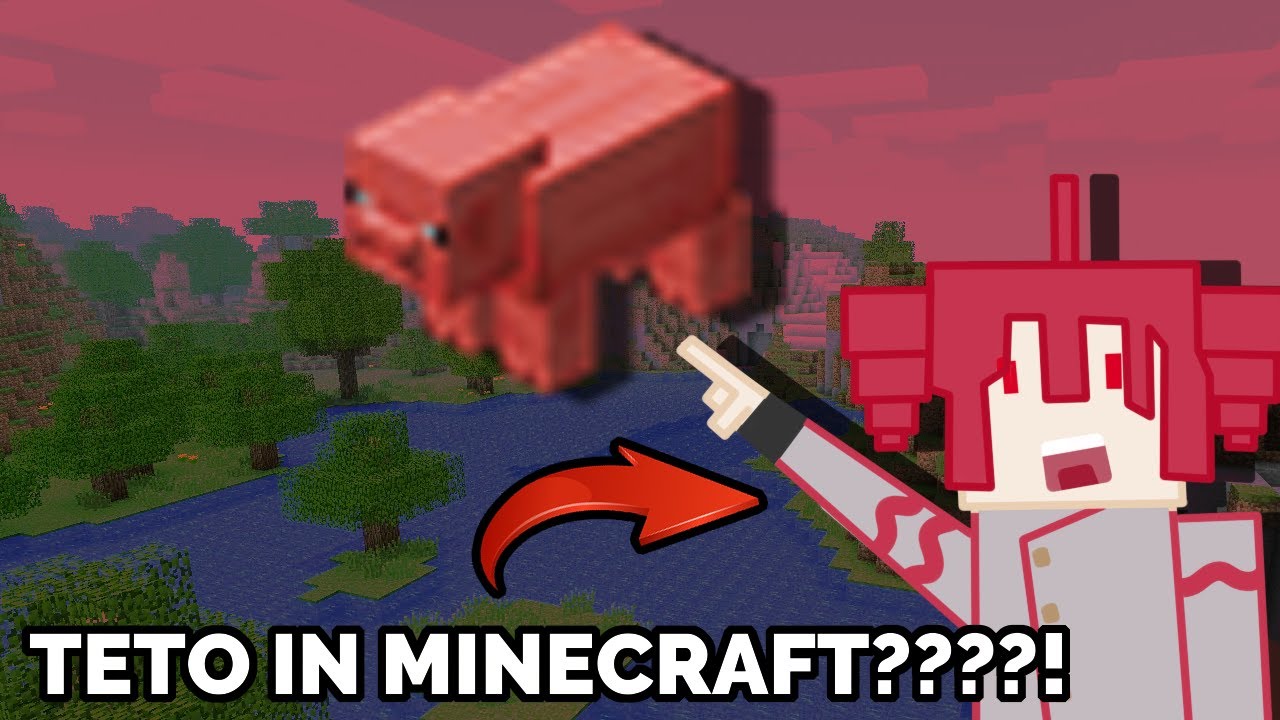 teto is placing blocks because she's in minecraft - YouTube