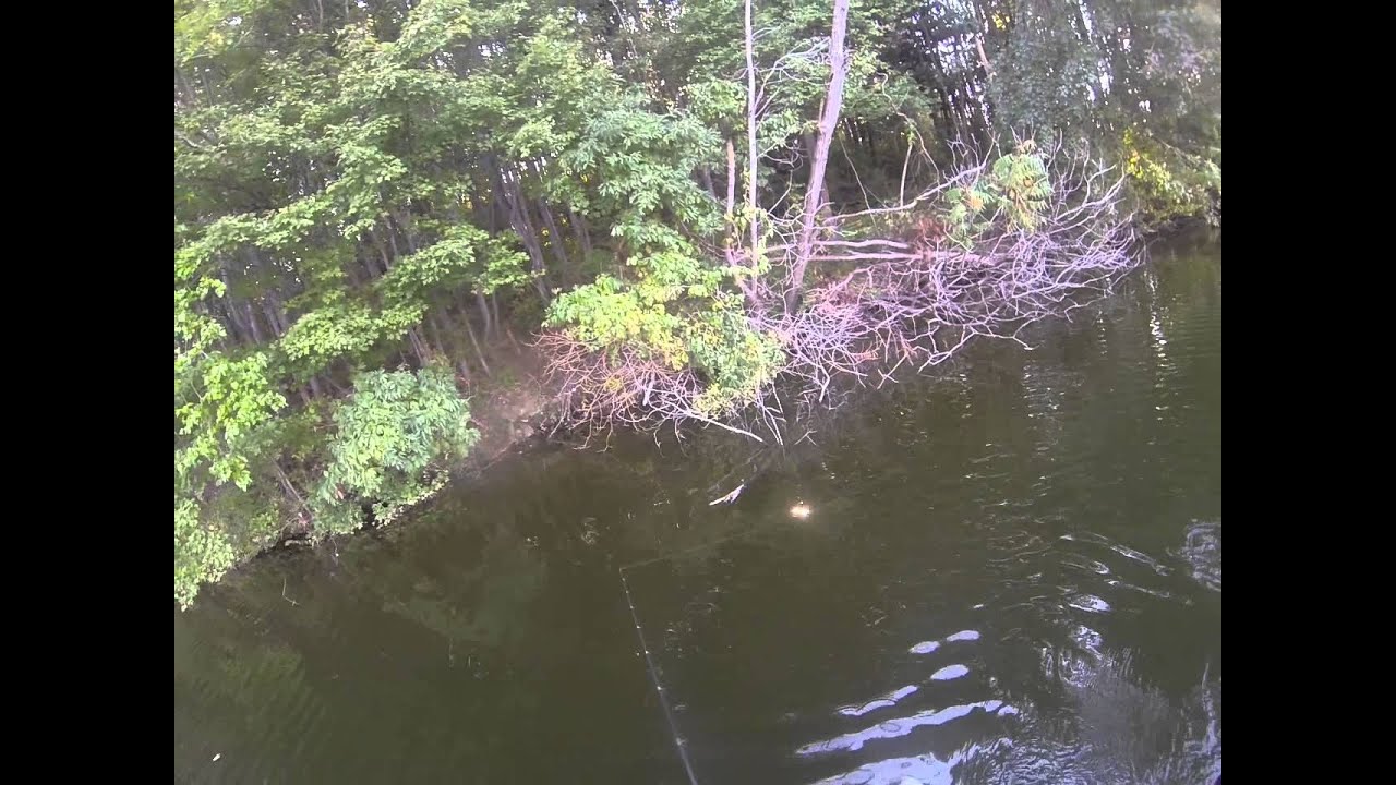 LargemouthBass Lake Redman fishing - YouTube