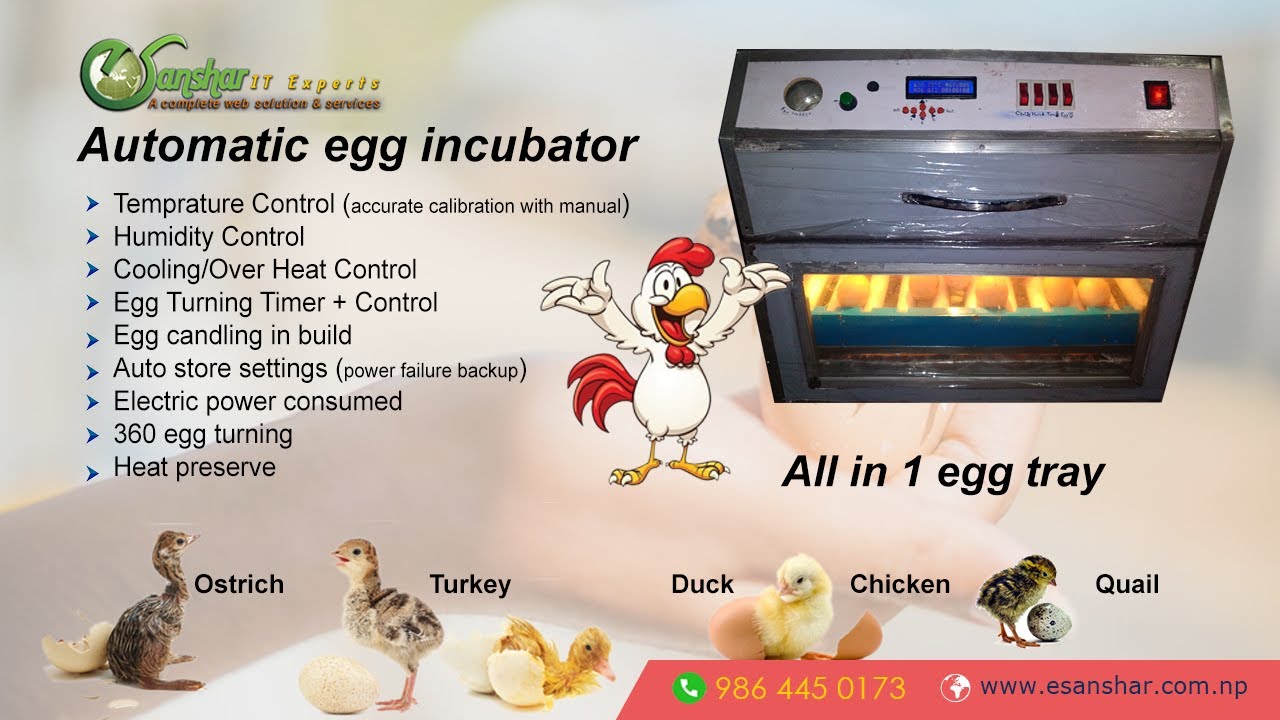 All in 1 and fully automatic Hatching machine - YouTube