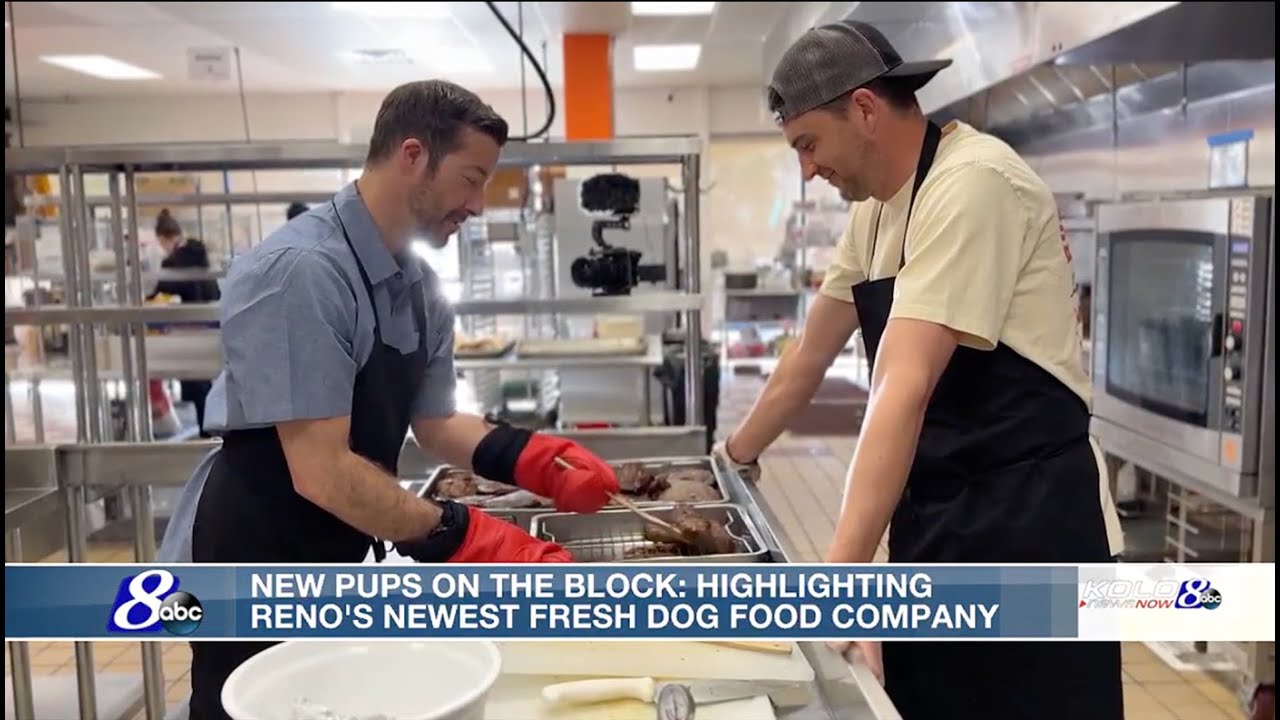 KOLO 8 News Now - Profiling the New Pups on the Block: Local Fresh Dog ...