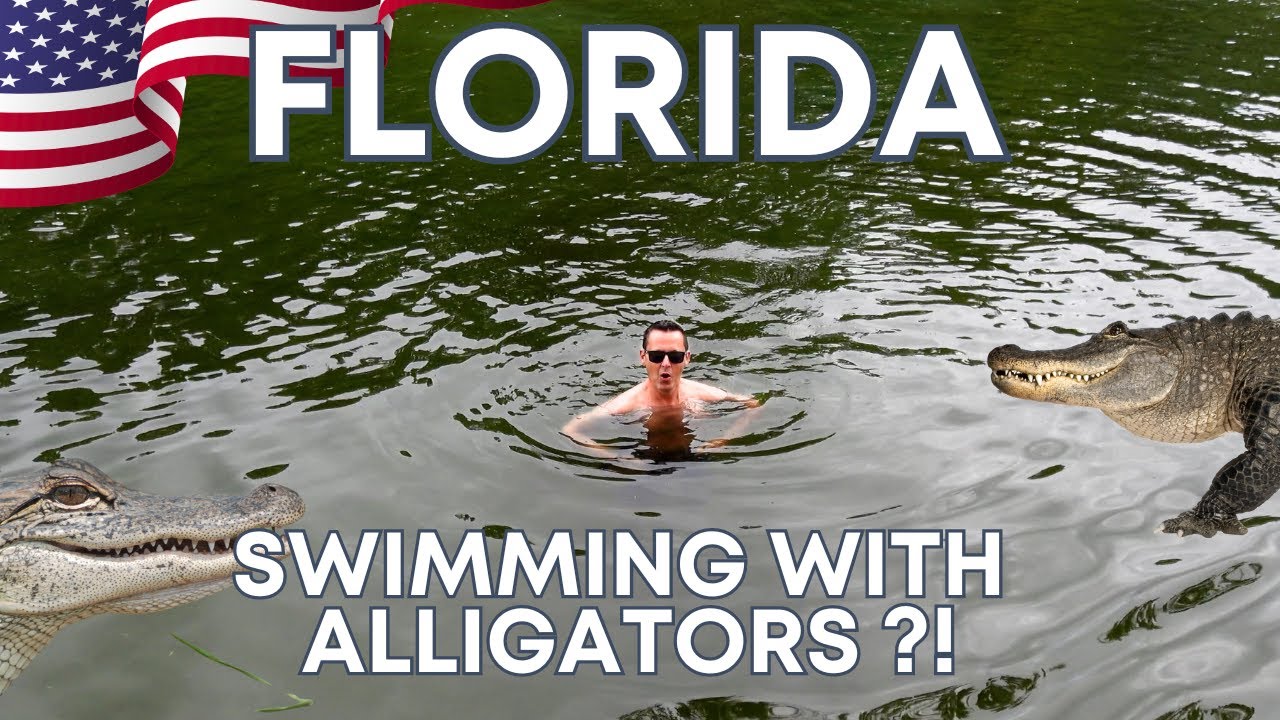 SWIMMING with ALLIGATORS & EXPLORING DELAND FLORIDA - YouTube