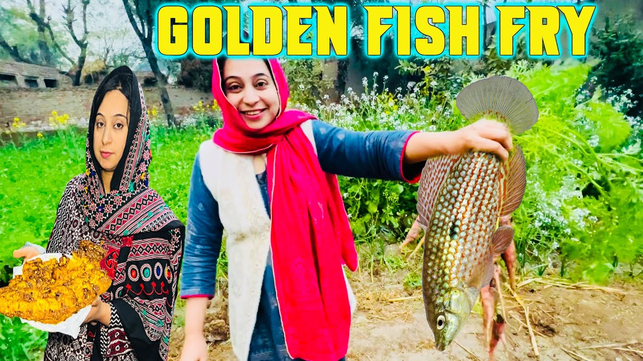 PAPER GOLDEN FISH FRY UNIQUE WAY TO COOK - YouTube
