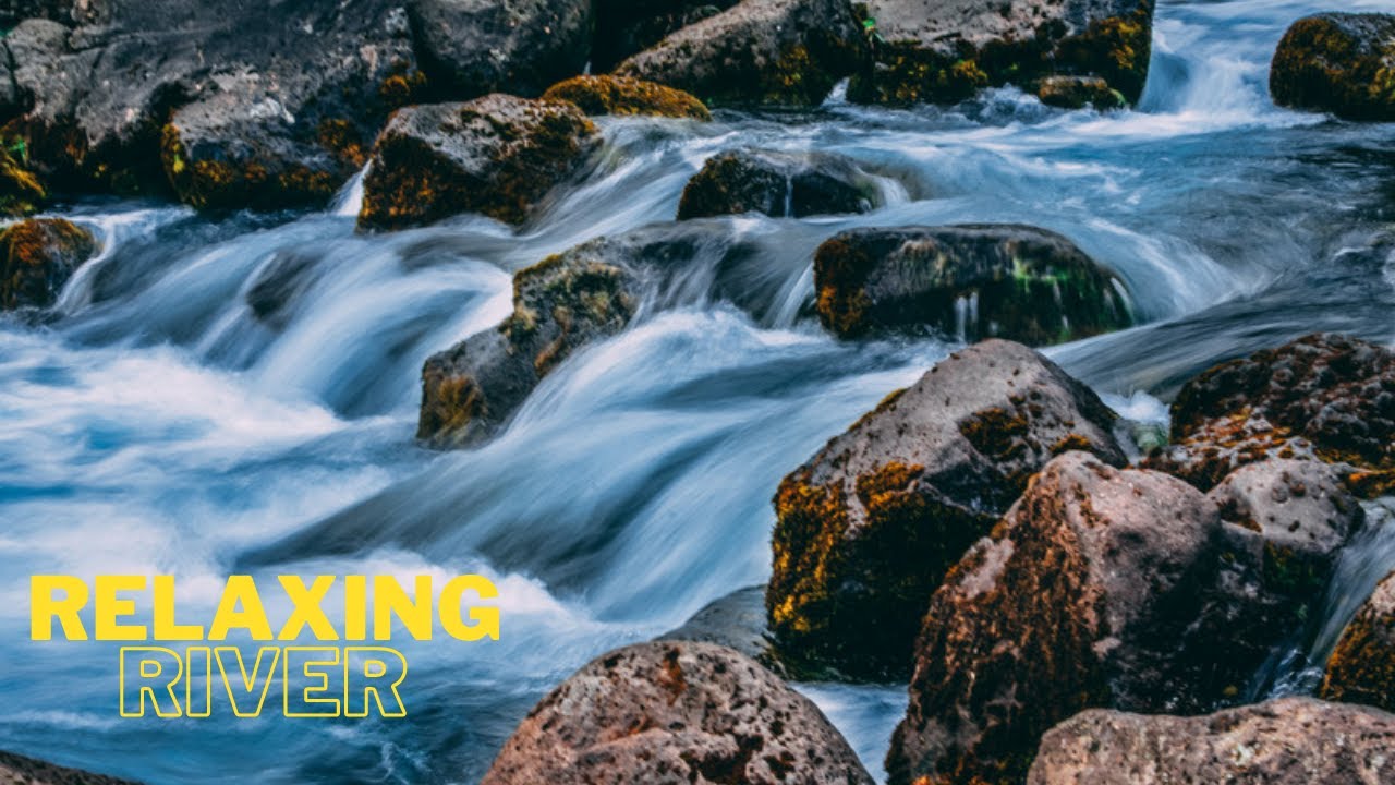 Relaxing Music & River Sounds • Beautiful Piano Music • Meditation ...