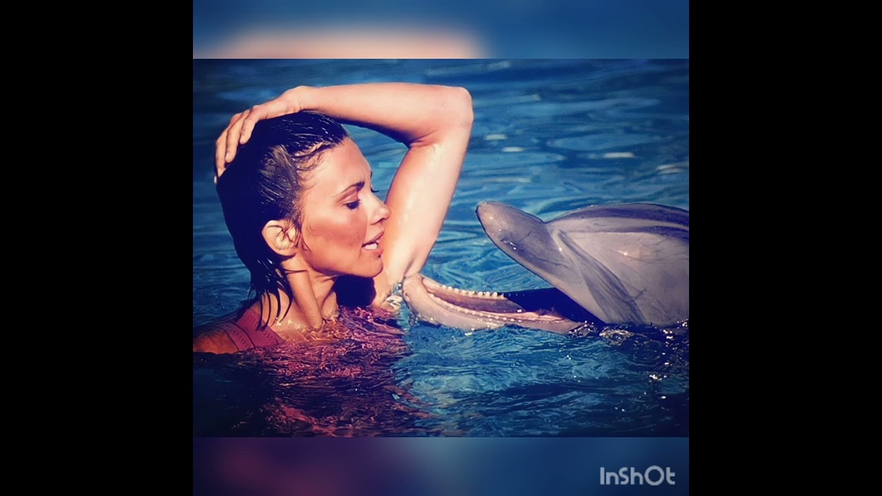 Olivia Newton -John / The Promise (The Dolphin Song) [Subtitulado] - YouTube