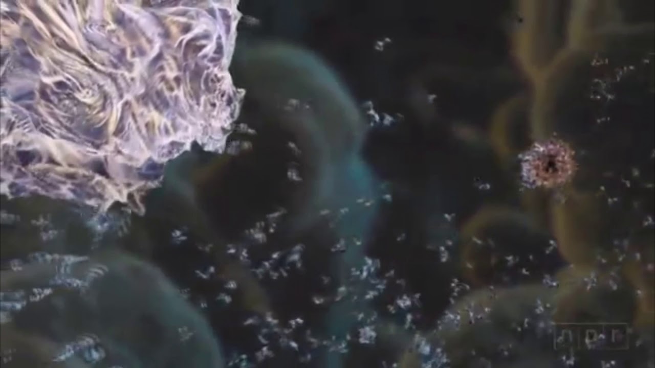 snibeti snab X--DD - YouTube