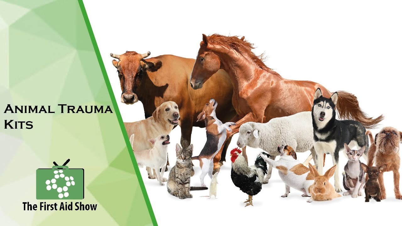 FAS Animal Trauma Kits - YouTube