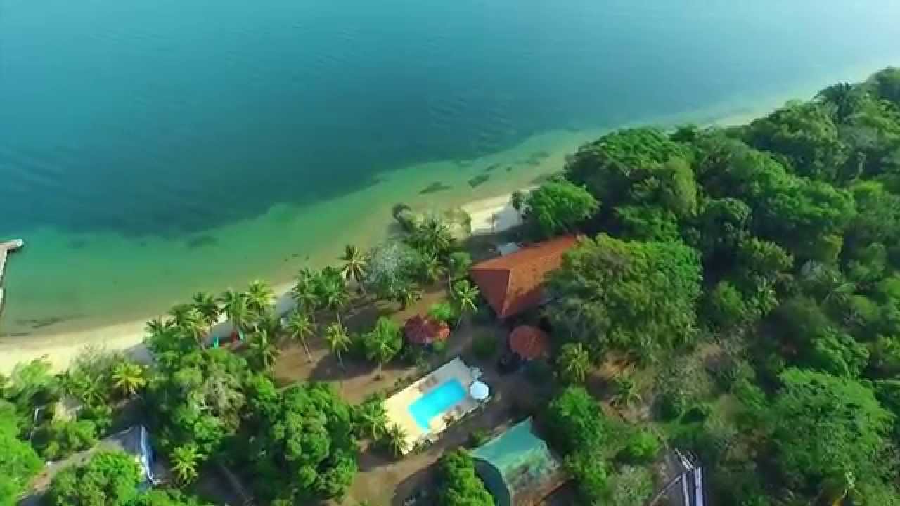 Intro Sanguaré - YouTube