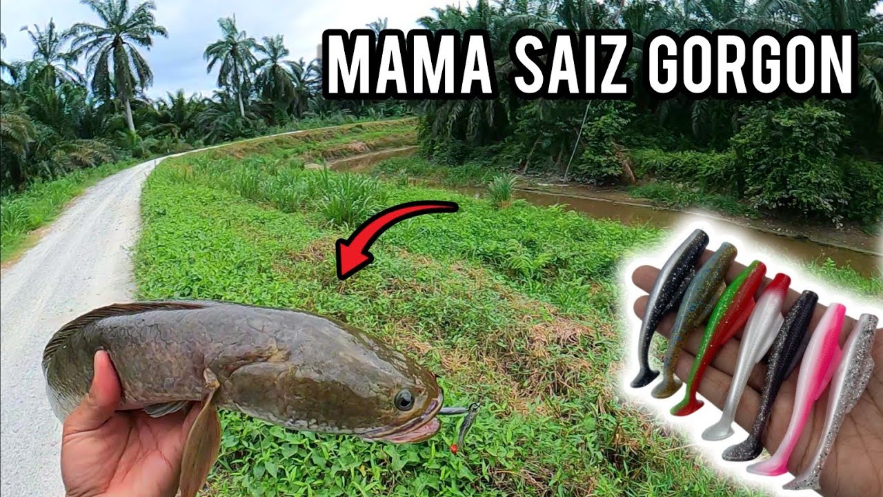 Casting Haruan | MEMUJUK MAMA HARUAN SAIZ GORGON | BOSSNA DOMINIC ...