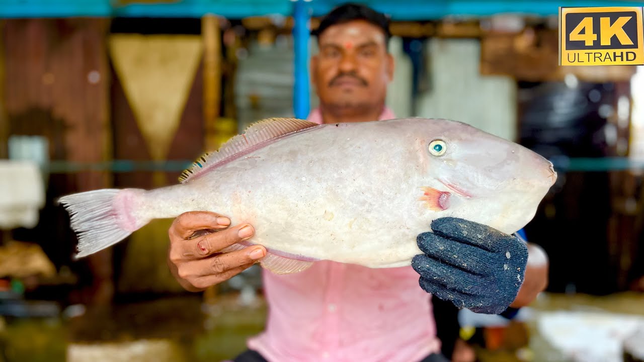 Seruppu Meen cutting video/Fishcuttingrs #fishcuttingrs #kasimedu #fish ...