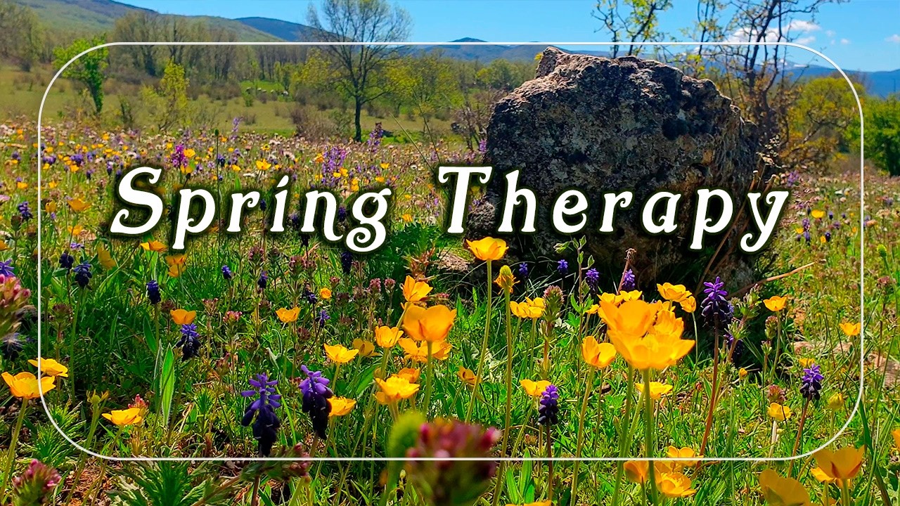 Healing Frequency Spring Therapy 🌷🌞 Begin Your Day with POSITIVE ...