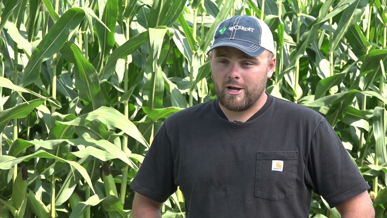 Drew Hartley-AgStart by AgCredit - YouTube