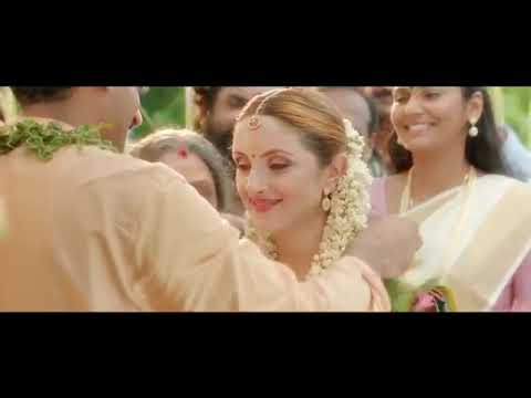 Kattummel Song Salt Mango Tree Film malayalam 360p - YouTube