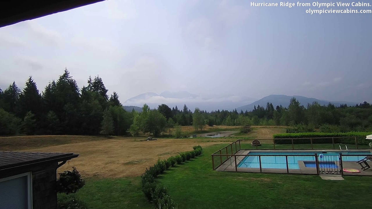 2018-08-13 Olympic View Cabins Hurricane Ridge Cam - YouTube