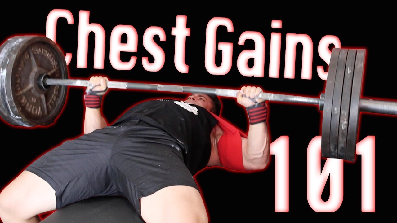 CHEST GAINS 101 (VLOG15) - YouTube