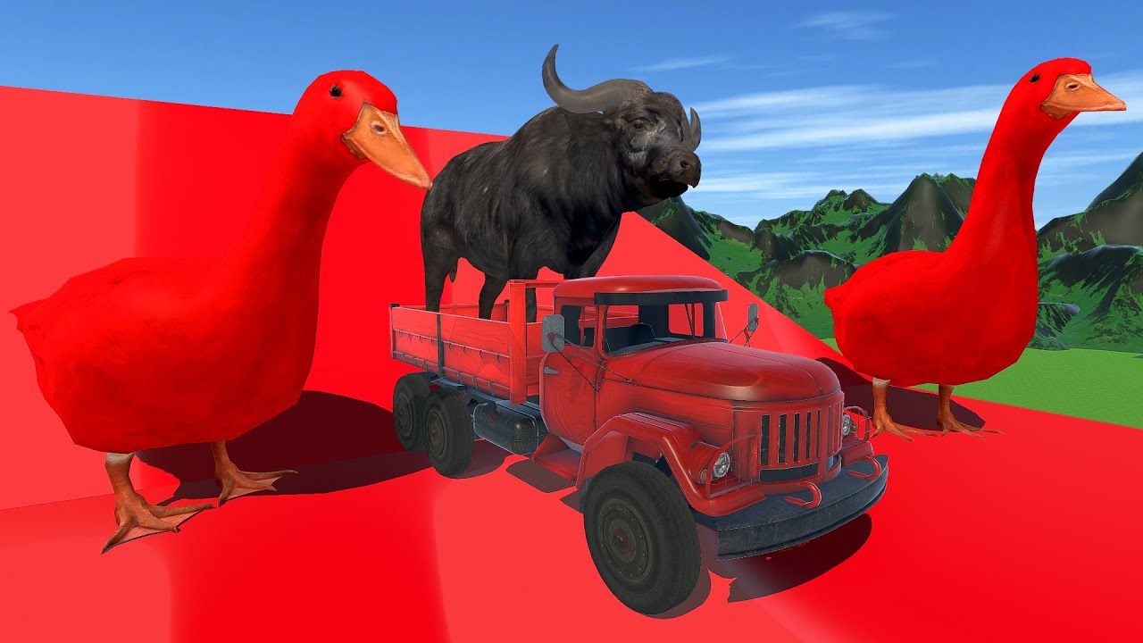 5 Giant Duck Cartoon Paint Animals Bull Tiger Zainy Toons - YouTube