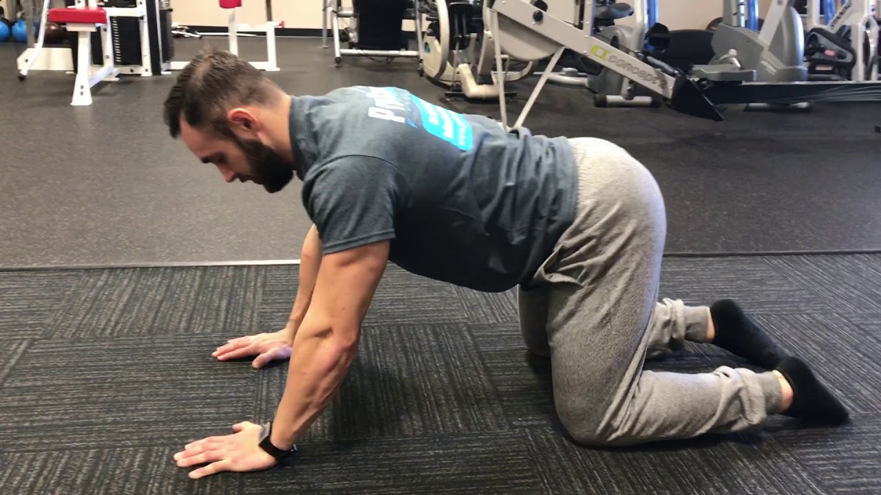 Hip Mobility - Quadruped Rock - YouTube