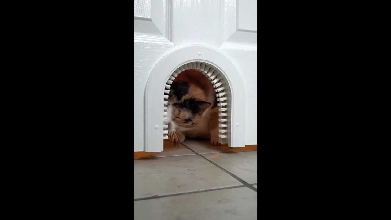 The Incredible Cat Cave from CatHole.com - YouTube