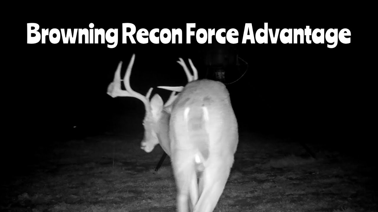 Deer Feeder #1: Browning Recon Force Advantage Dec. 30-31, 2023 - YouTube