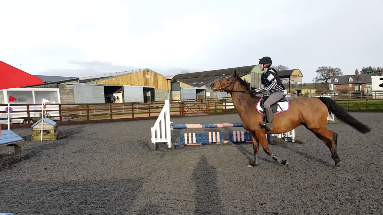 Kelsall Hill Arena Eventing Training 80cm - YouTube