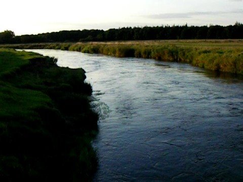 Skjern Å - River Skjern - a salmon river in Denmark (1) - YouTube