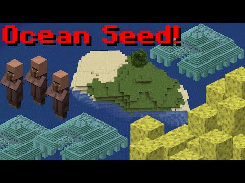Minecraft 1.17 Seed: Survival Island, Village, 4 Sponge Room Ocean ...