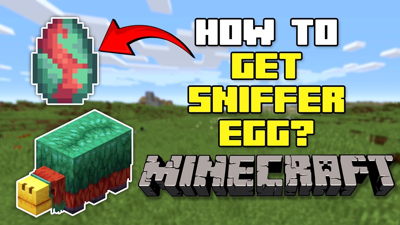 How to Get Sniffer Egg in Minecraft 1.21 - YouTube
