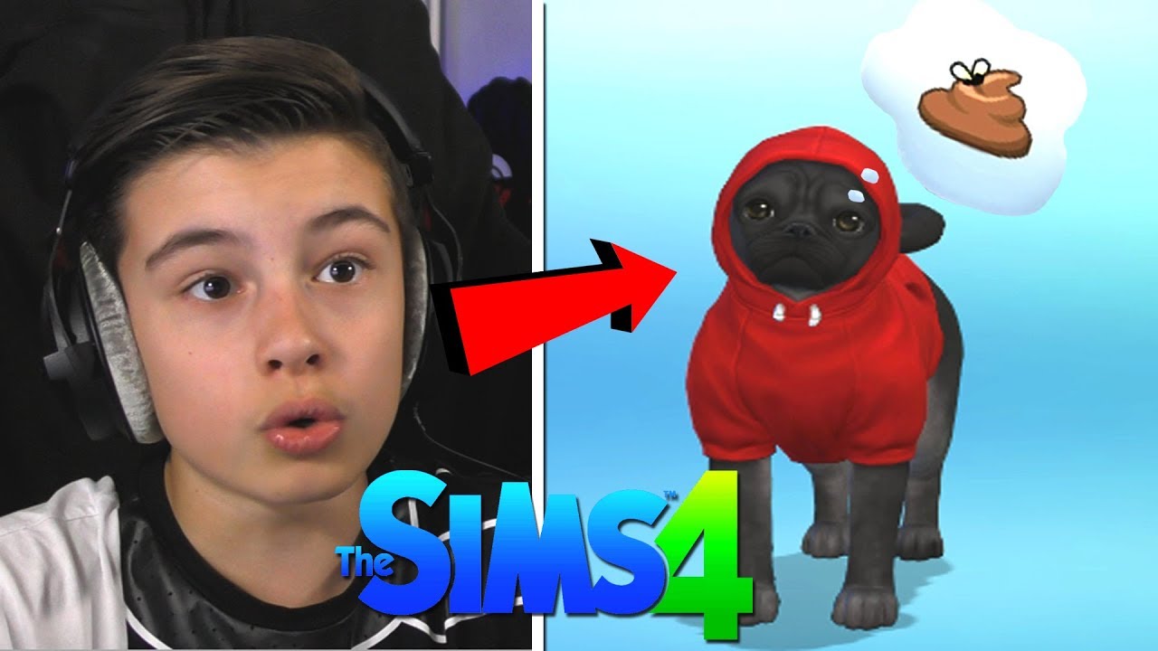 MIJN NIEUWE PUP DENKT ALLEEN AAN POEP ?! | De Sims 4 #7 - YouTube