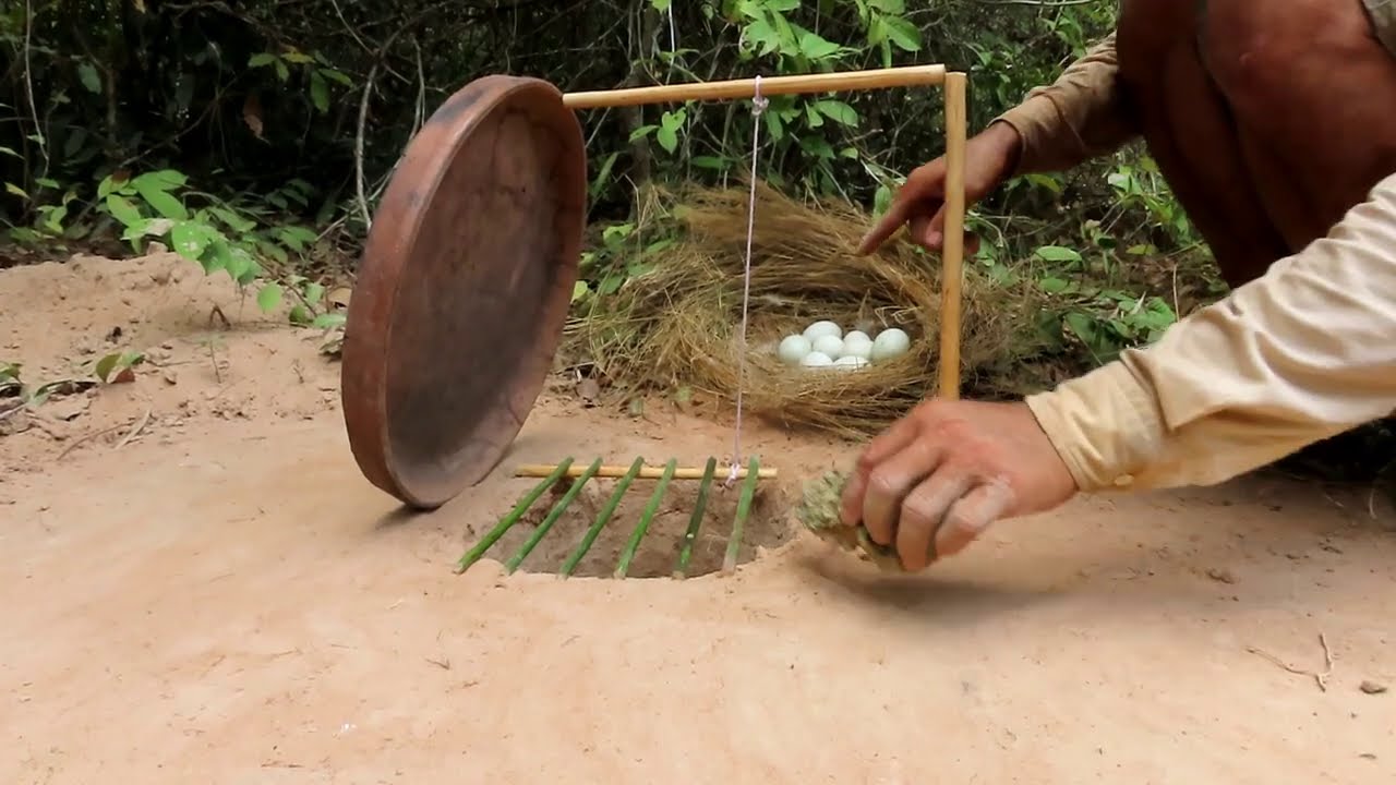 Creative Unique Wild Duck Trap Using Dead fall Trap & Duck Nest (That ...