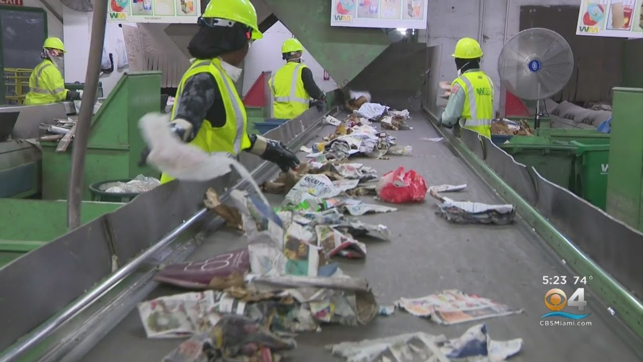 Do You Know How To Properly Recycle? - YouTube