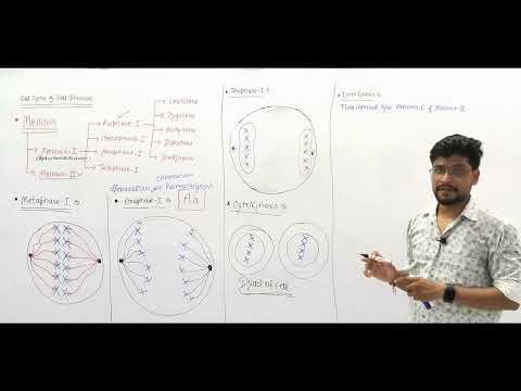 C5|Meiosis1|Meiosis2|Meiosis|Cell Cycle & Cell Division|NCERT|11th ...