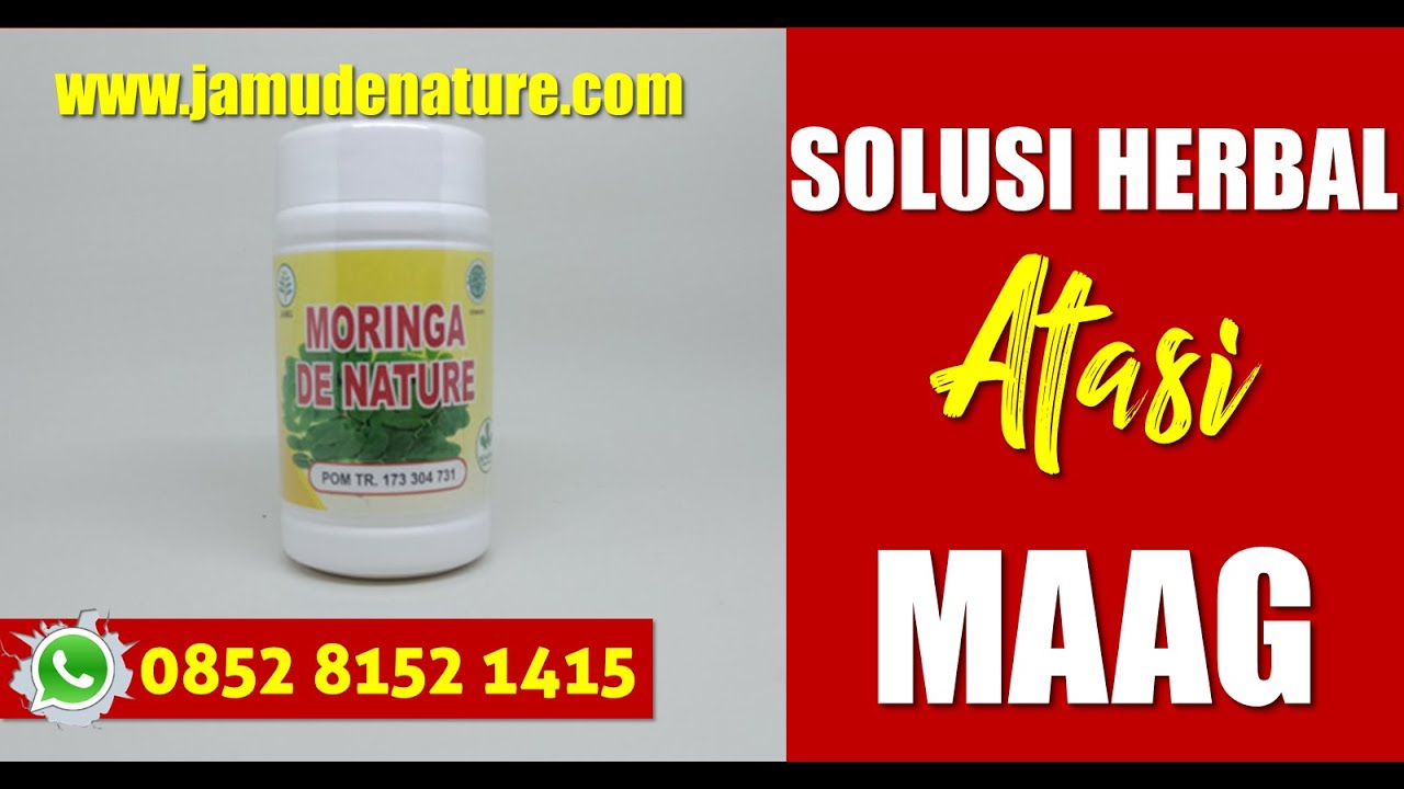 OBAT MAAG TRADISIONAL || MORINGA OBAT MAAG/ASAM LAMBUNG HERBAL ALAMI ...