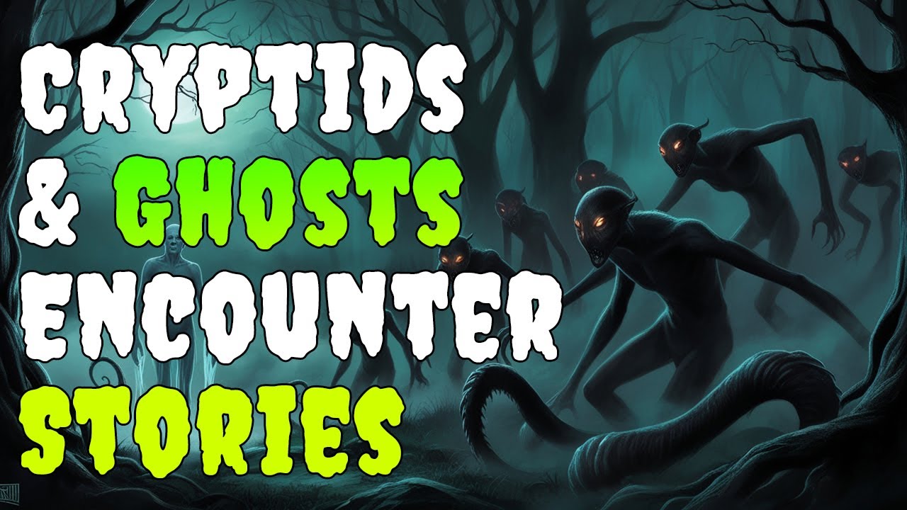 [Serious] Cryptid & Ghost's Unexplained Stories | Mr. Paranormal - YouTube