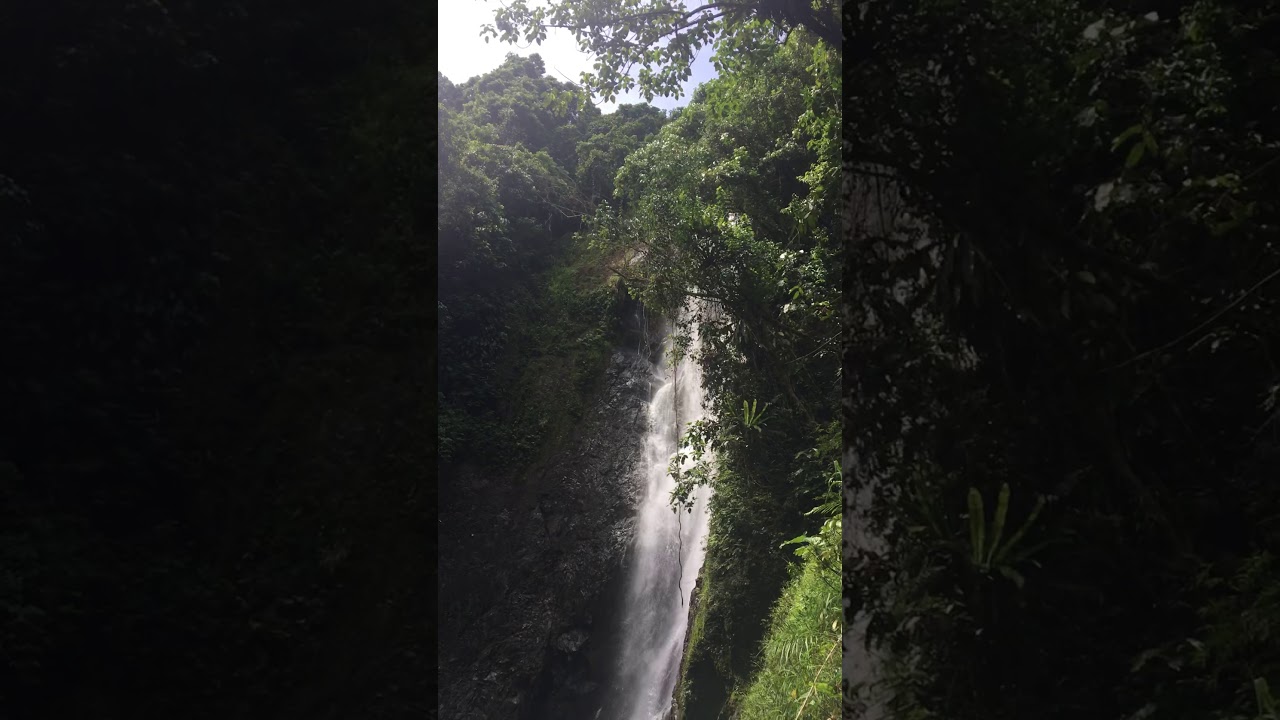 Navua River Waterfall - YouTube