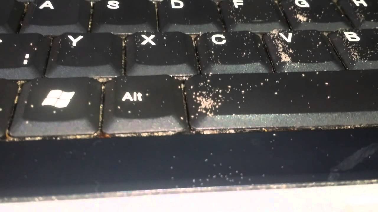 Notebook insects! - YouTube