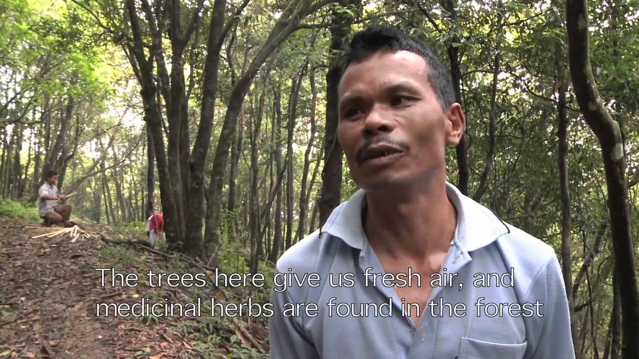 IND031 Daribok Nokma On The Benefits Of The Forest YouTube ind031-daribok-nokma-on-the-benefits-of-the-forest-youtube