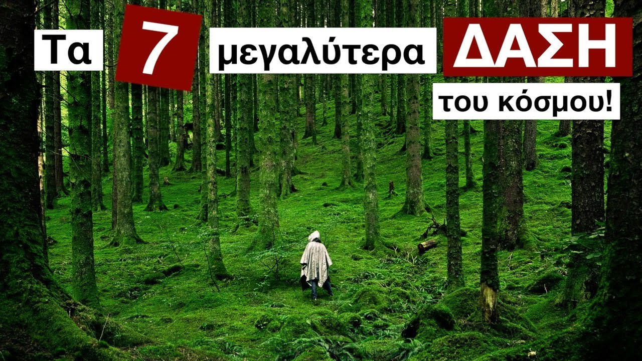 Ποια είναι τα 7 ΜΕΓΑΛΥΤΕΡΑ ΔΑΣΗ του κόσμου Youtube