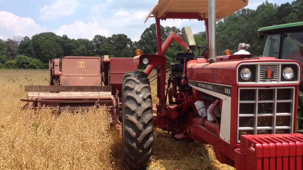 IH 686 Turbo Unloading Oats from the IH 82 Combine - YouTube