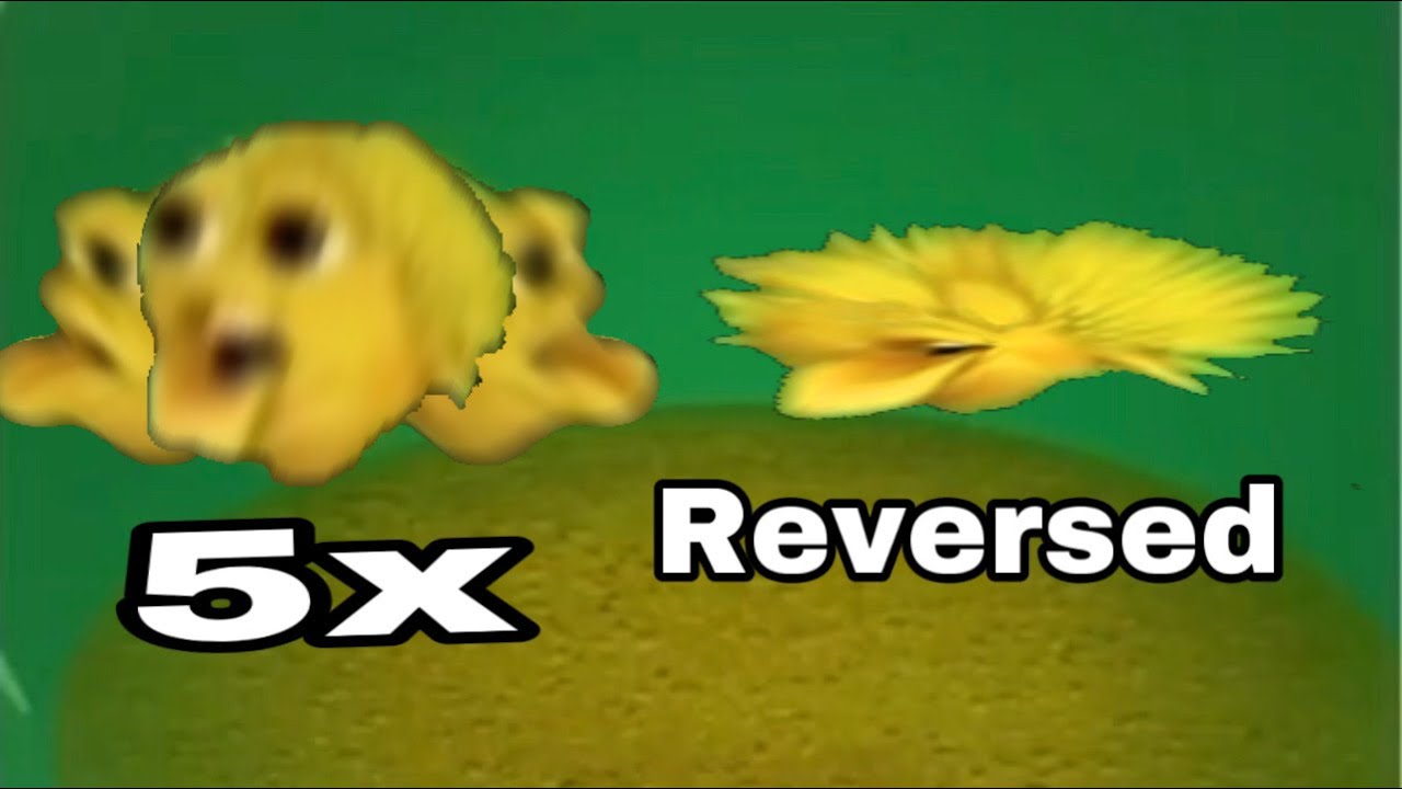Yellow singing pufferfish but it’s different speed variations - YouTube