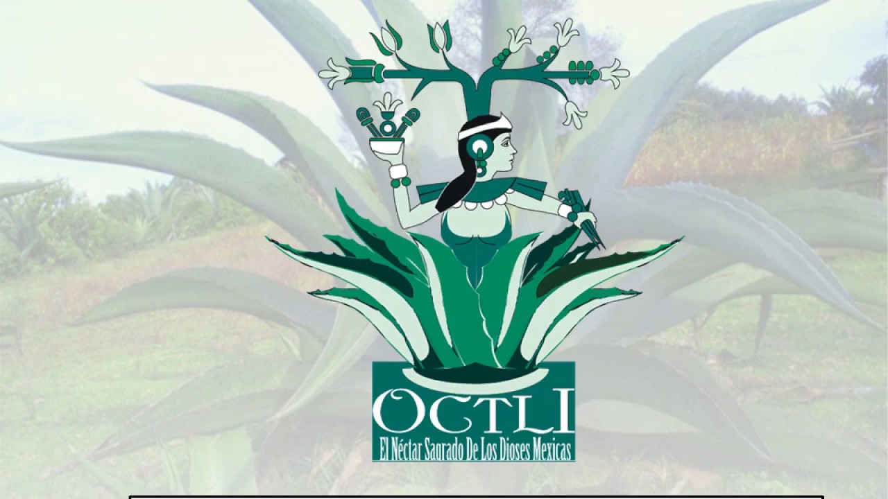 OCTLI - 100% Natural Mead (aguamiel) Distillate - YouTube