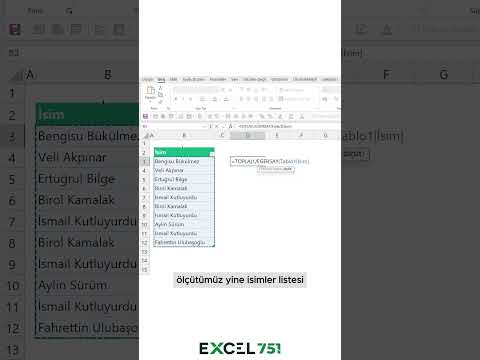 Excel'de Bir Listedeki Benzersiz Değerlerin Toplamını Alma (BENZERSİZ Formülü DEĞİL!) | EXCEL 751
