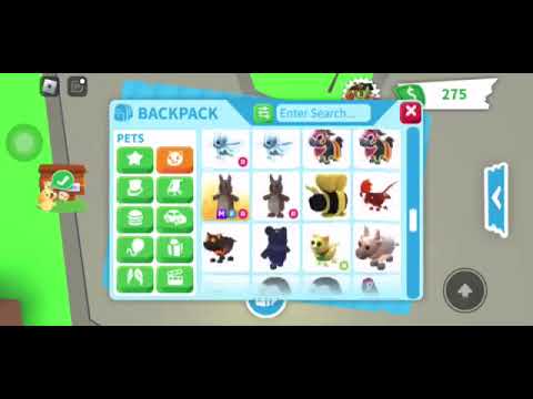 NEW UPDATE MY PETS ADOPTME!!! - YouTube