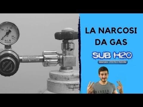 UBRIACHI DURANTE UN' IMMERSIONE? LA NARCOSI DA GAS (EFFETTO MARTINI) 🐟- SUB H2O
