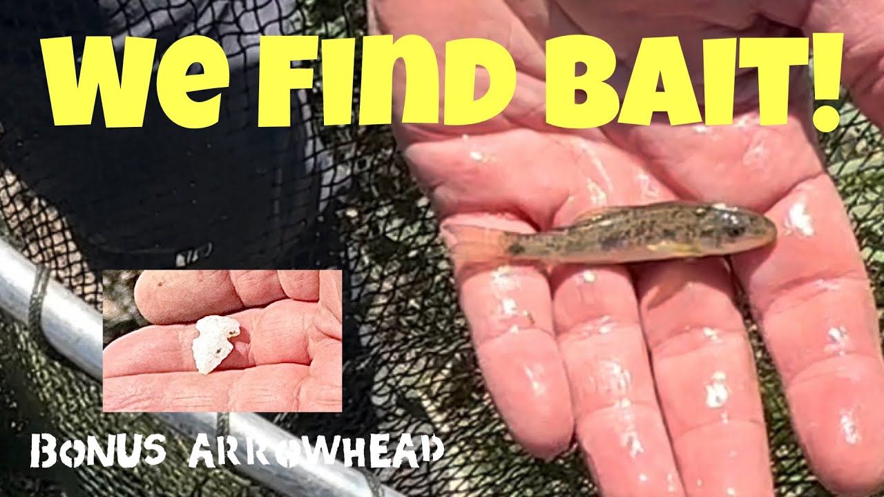 We Find Bait! Day 3 Part 2 Opener - YouTube