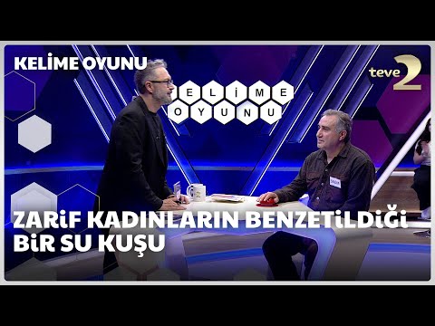 Zarif kadınların benzetildiği bir su kuşu | Kelime Oyunu