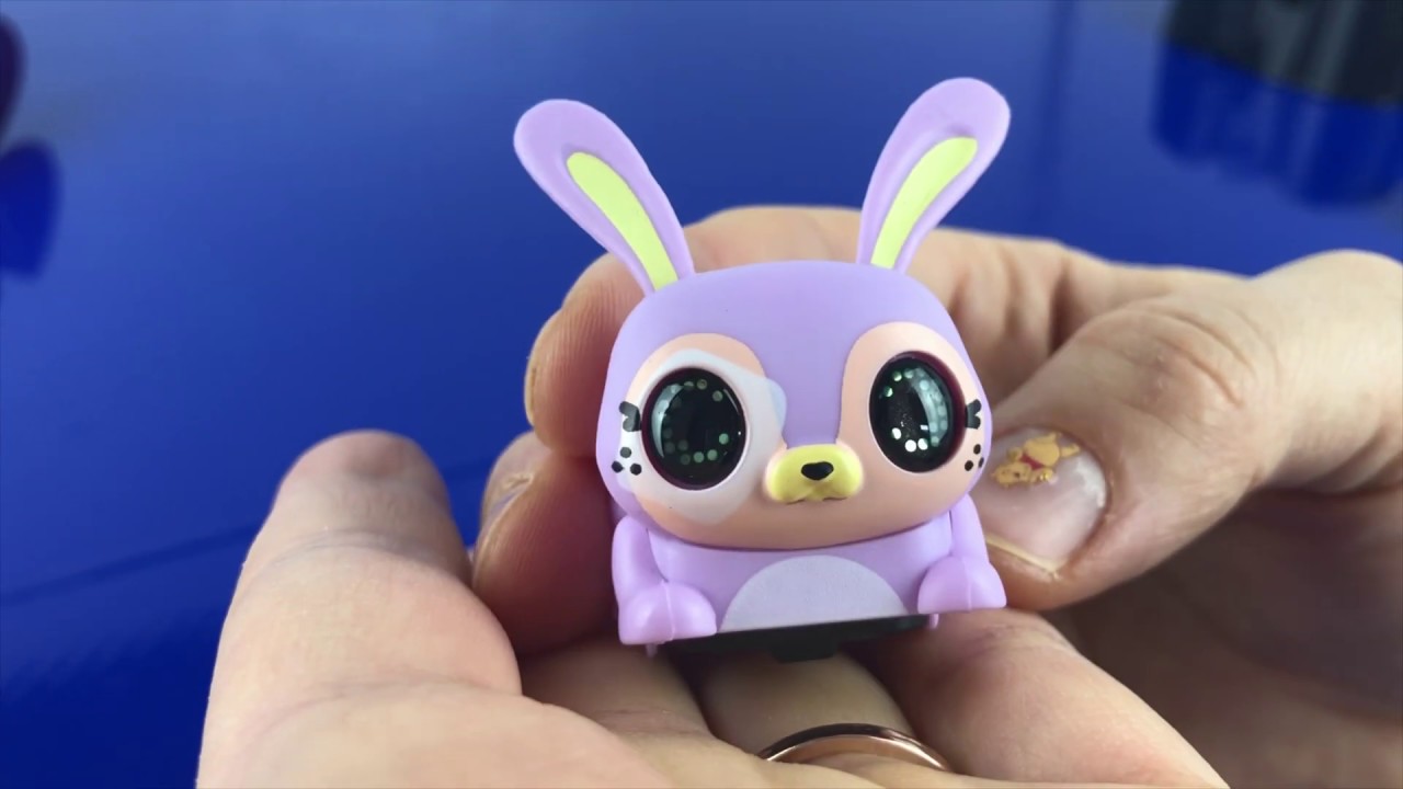 Unboxing LOLLIPETS new Toys from Spin Master Is It LOVE or HATE?! At ...