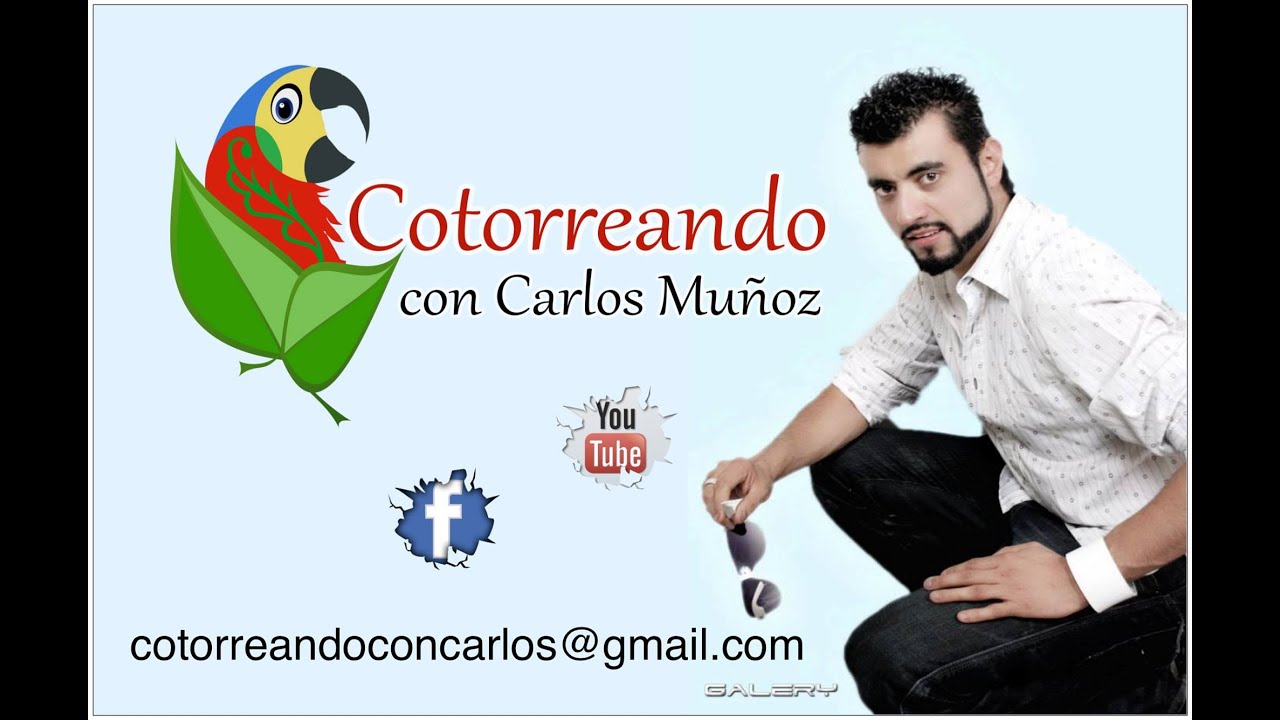 COTORREANDO - PROGRAMA 05 - YouTube