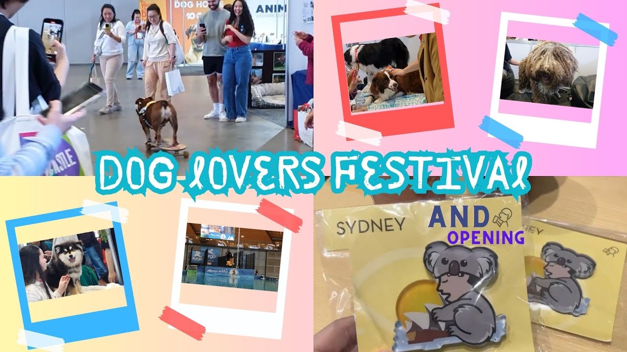 Skateboarding dog at Dog Lovers Festival | CUTE magnet new HEYTEA ...
