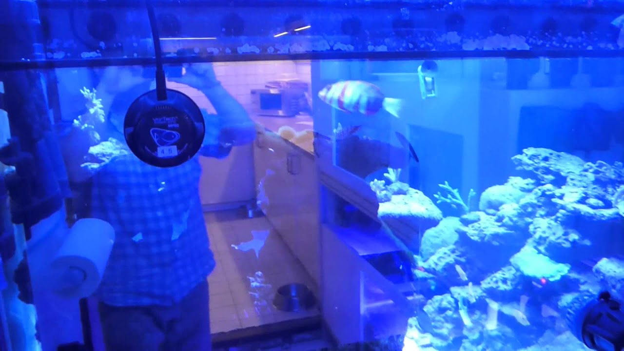 SWUBE Technical - YouTube