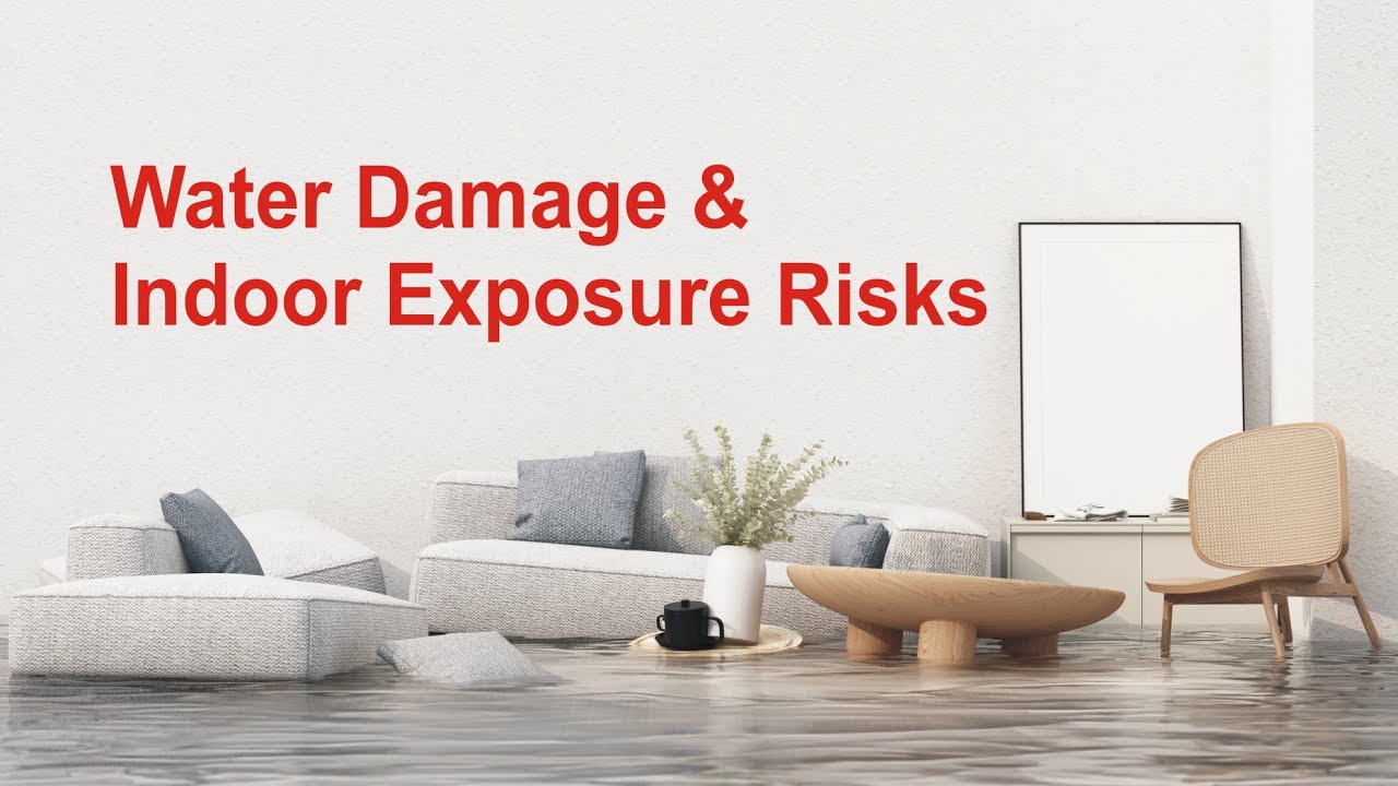 Water Damage and Indoor Exposure Risks - YouTube