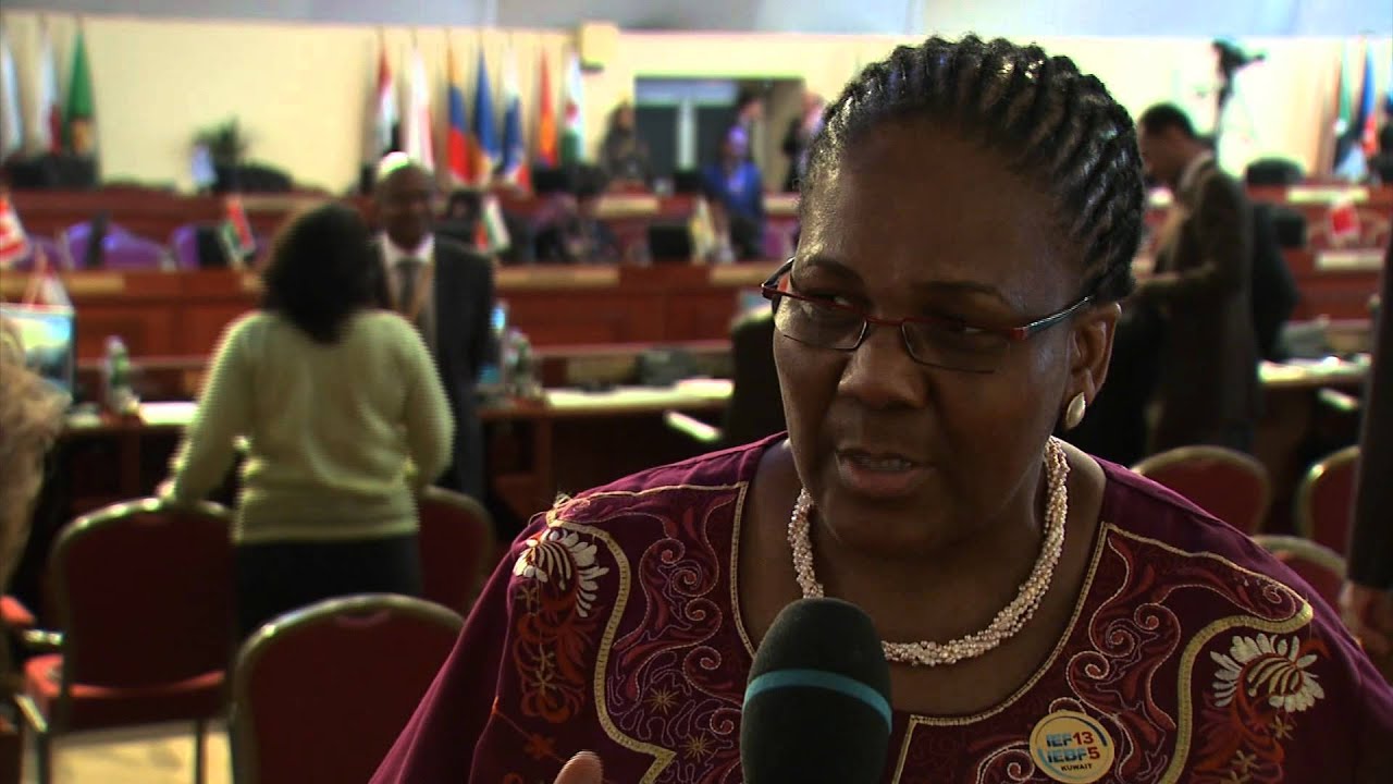 IEF13 / IEBF5 Interview, Elizabeth Dipuo Peters, Minister of Energy ...